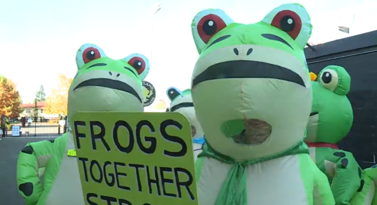 Protest frogs head to DC for 'State of the Swamp Address' ahead of ...