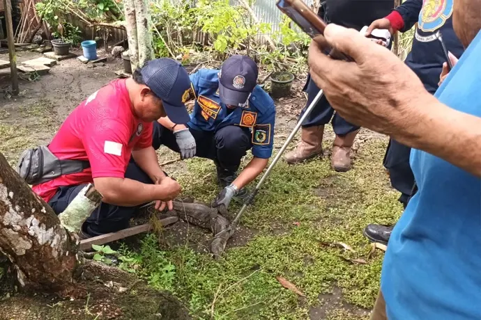 Serang warga, biawak 1 meter diamankan tim damkar