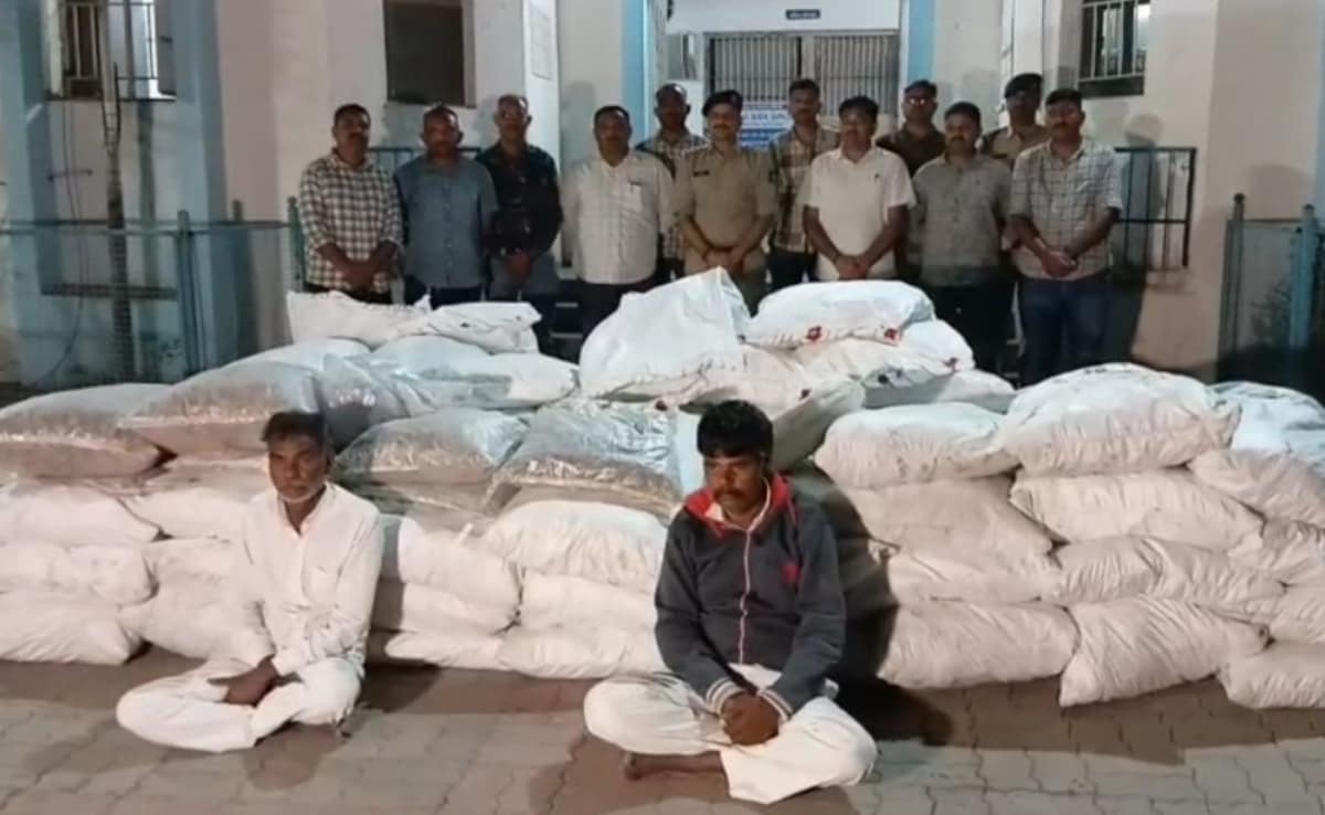 Drugs Worth Rs 11 Crore Seized From Ganja, Opium Farm In Gujarat