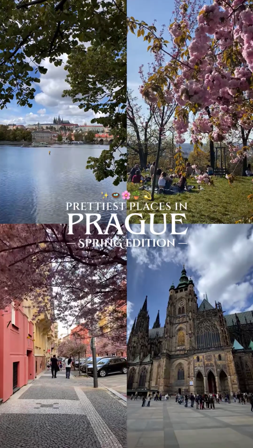 Explore historical and cultural Prague landmarks