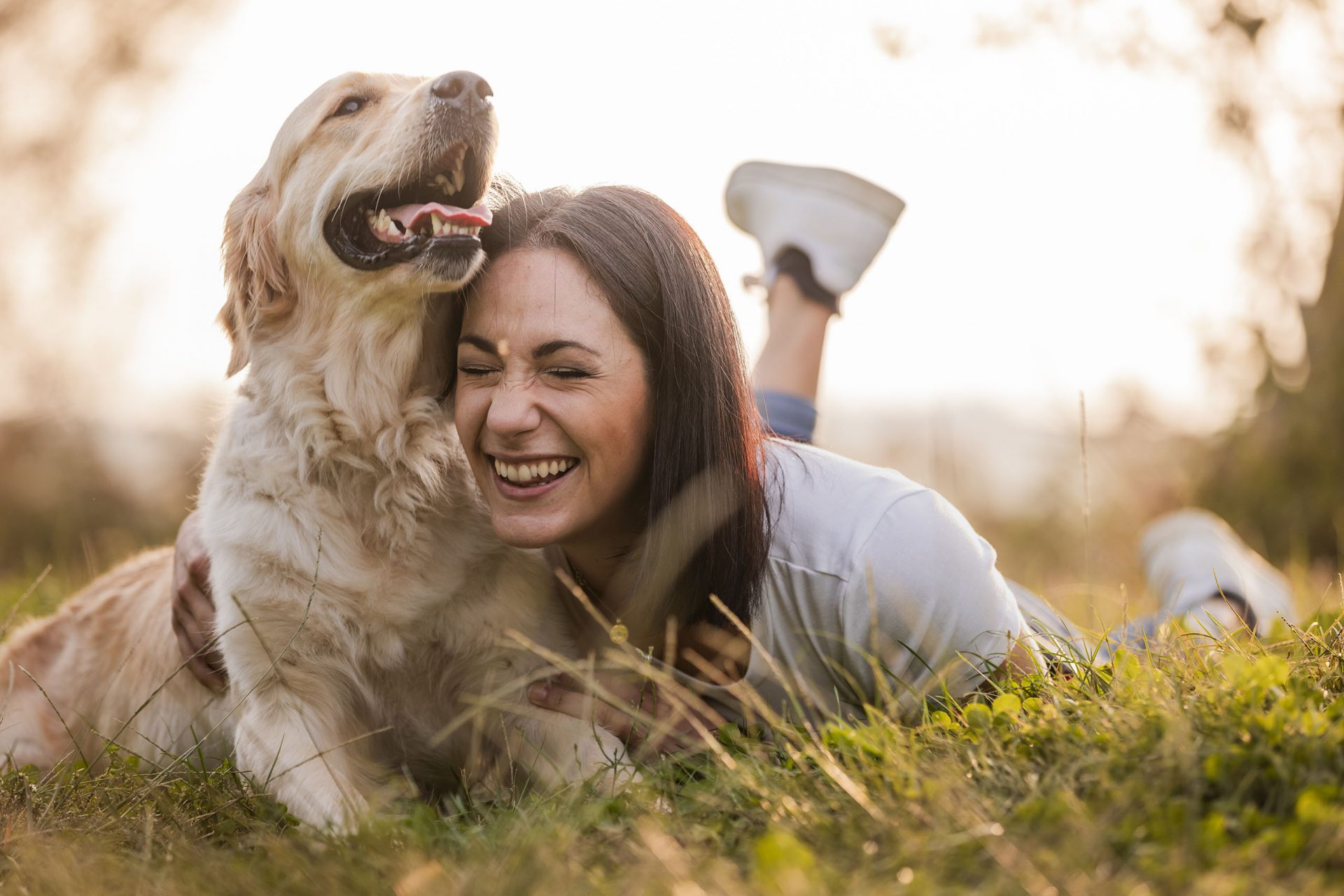Science reveals the key factors linking dog ownership to increased ...