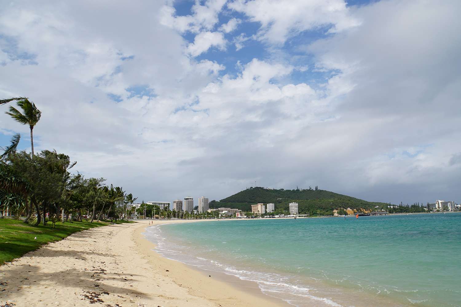 Doctor, 55, killed in horrific shark attack after suffering ...
