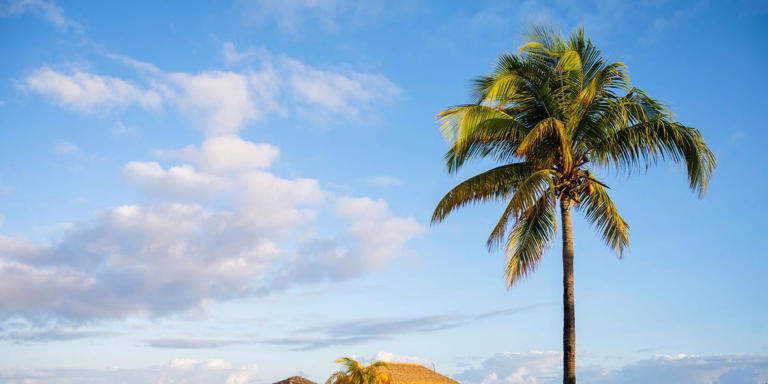 Let's all run away to a private island in the Caribbean