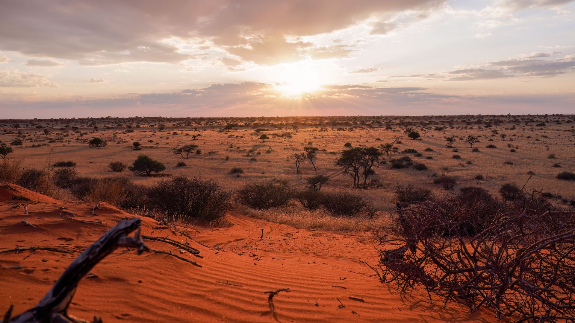 A global puzzle emerges as identical tunnels, clearly not geologic ...