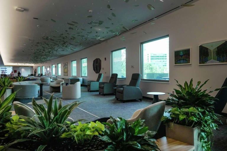 MD Anderson opens colorectal cancer clinic amid rising young adult cases