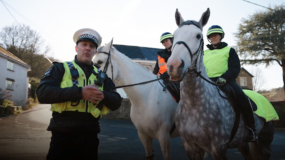 Police warn drivers about this common mistake around horses