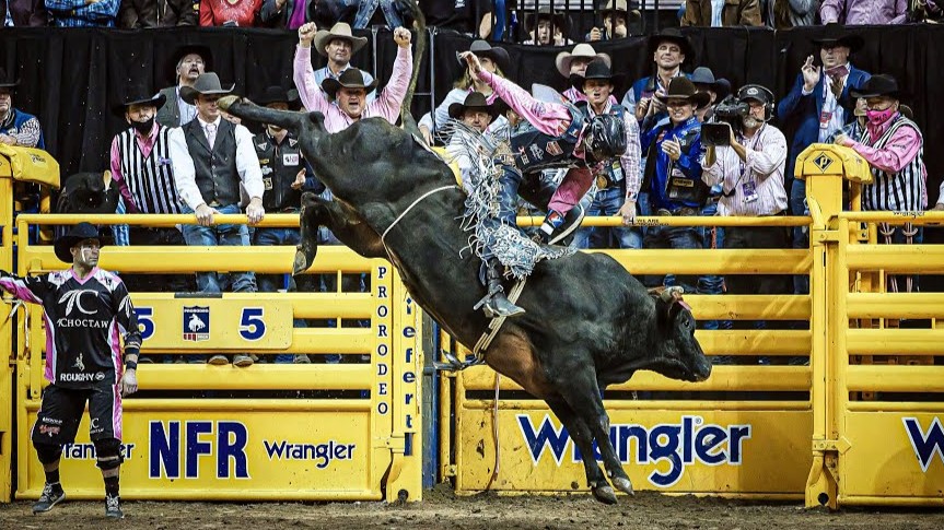 The bull tried everything - he stayed on