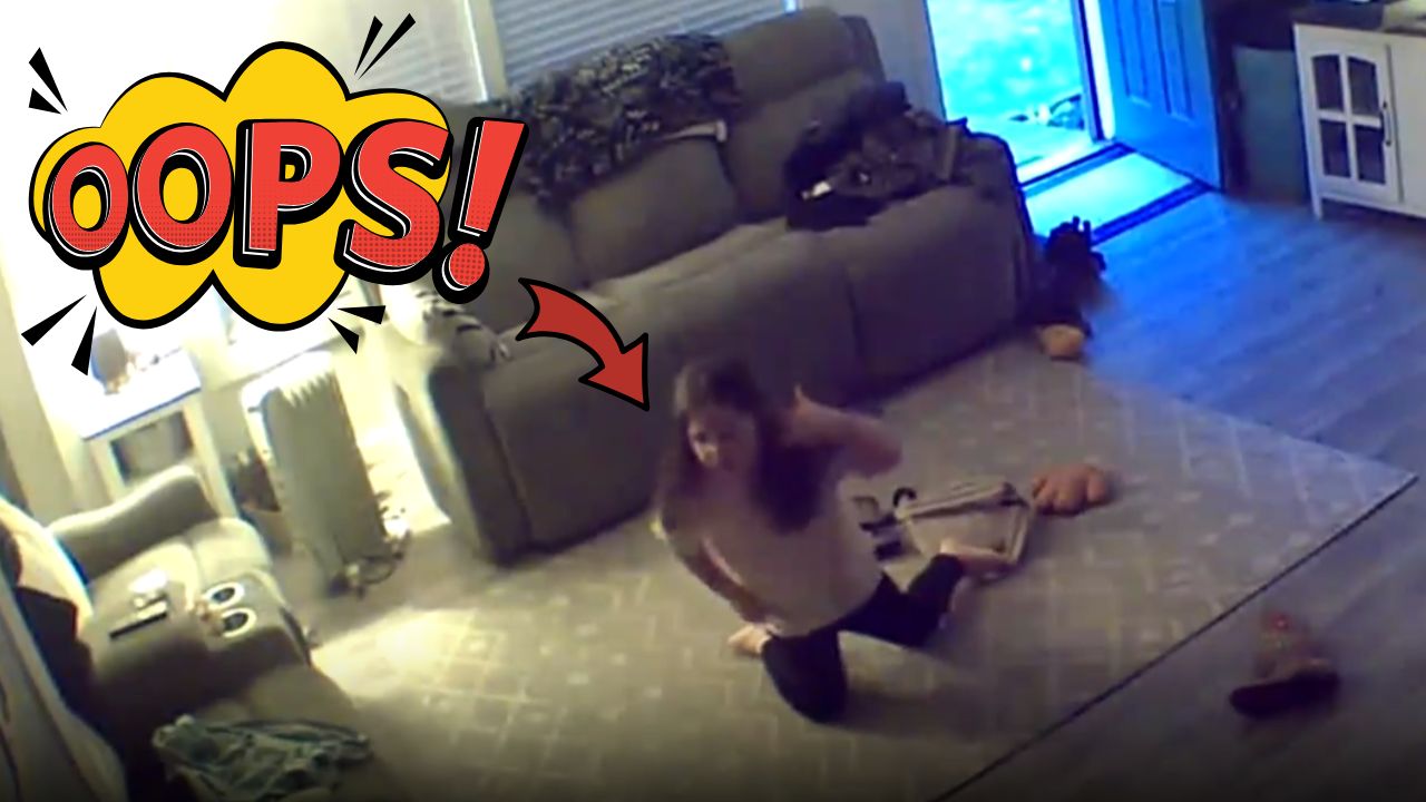 Big dog's fast entrance sends a child tumbling