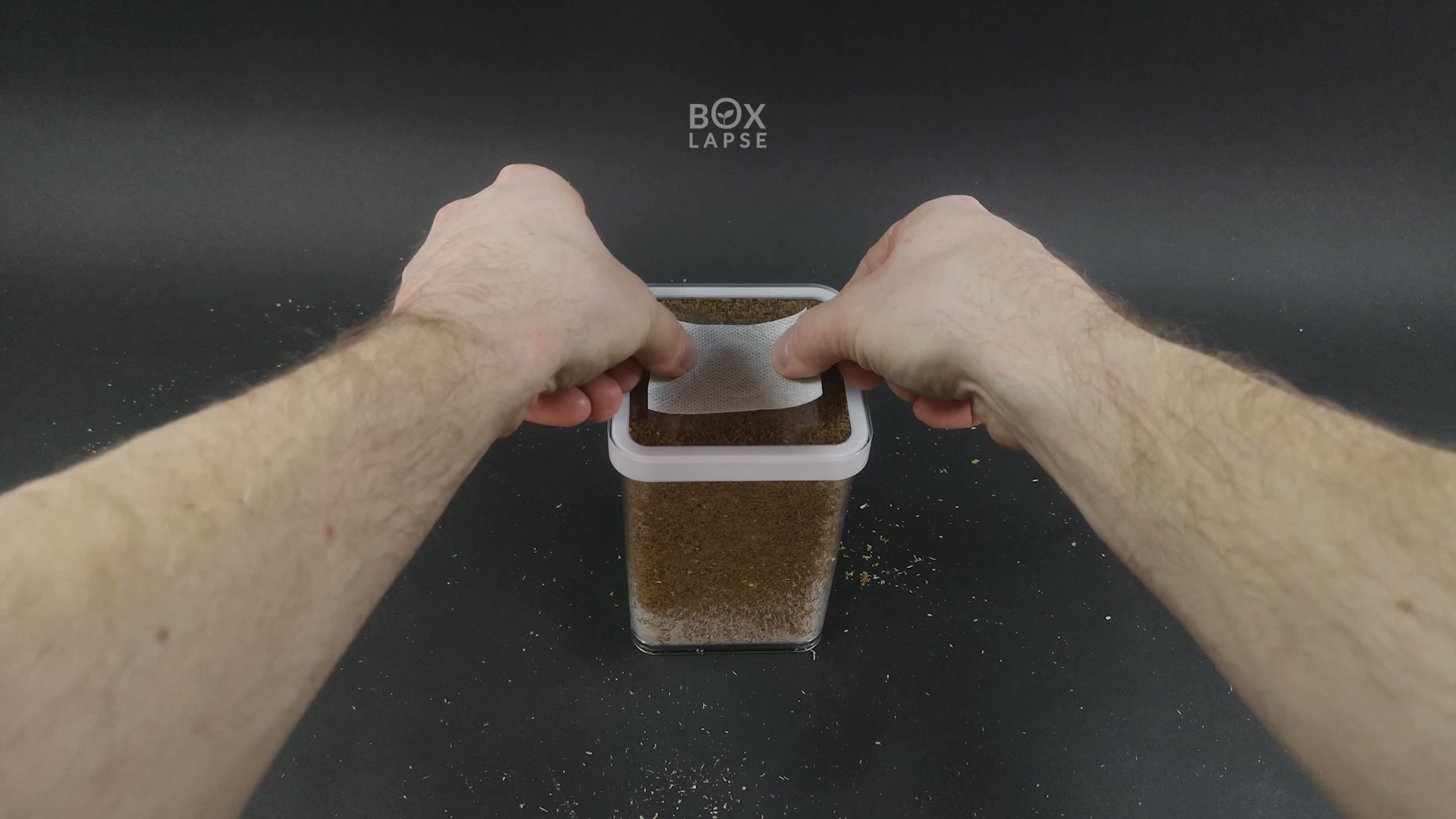 New rushes: crave-worthy bites to try