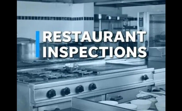 Chatham County health inspections flag restaurant violations