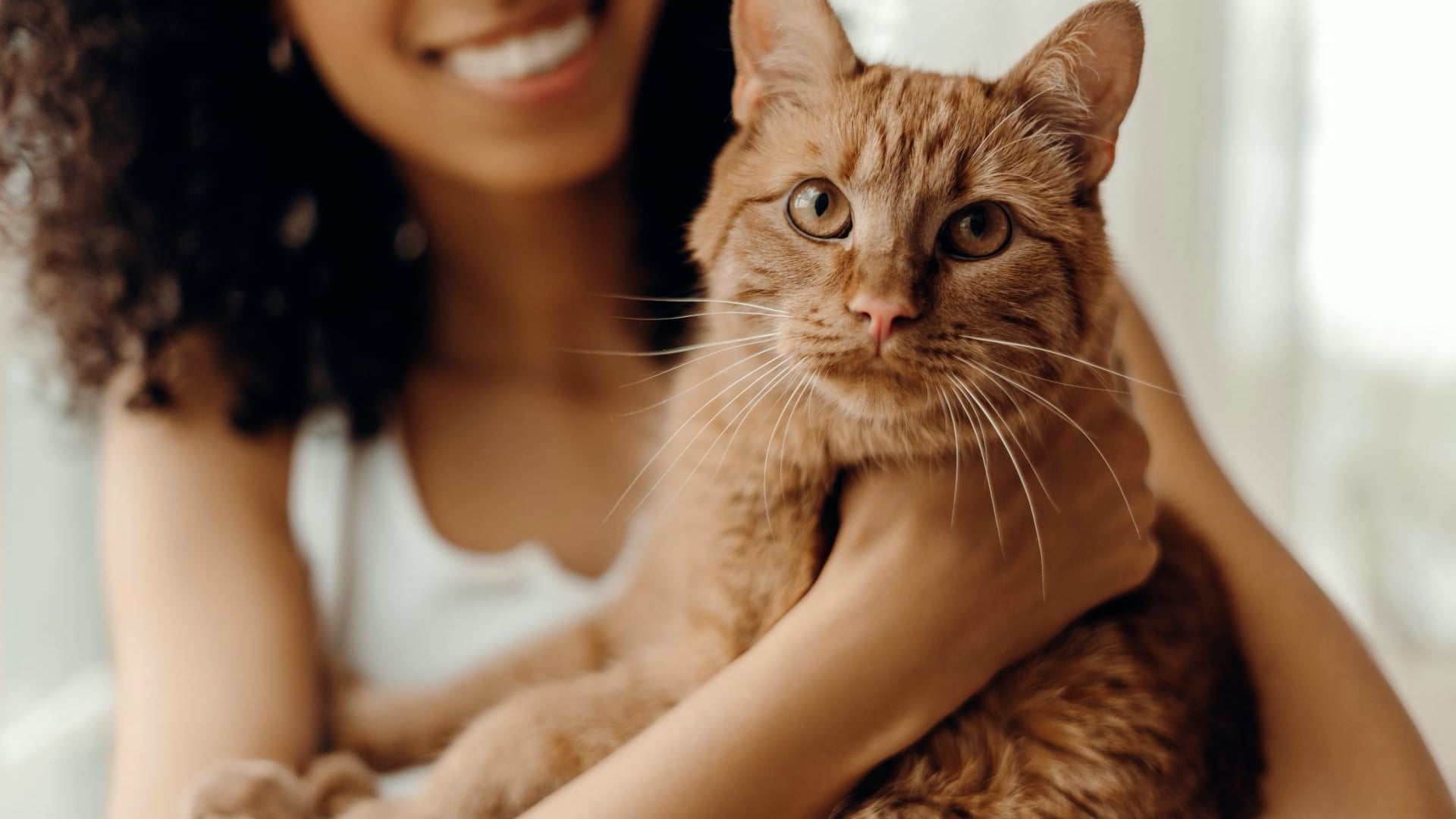 Cats may be the key to revolutionizing cancer treatment