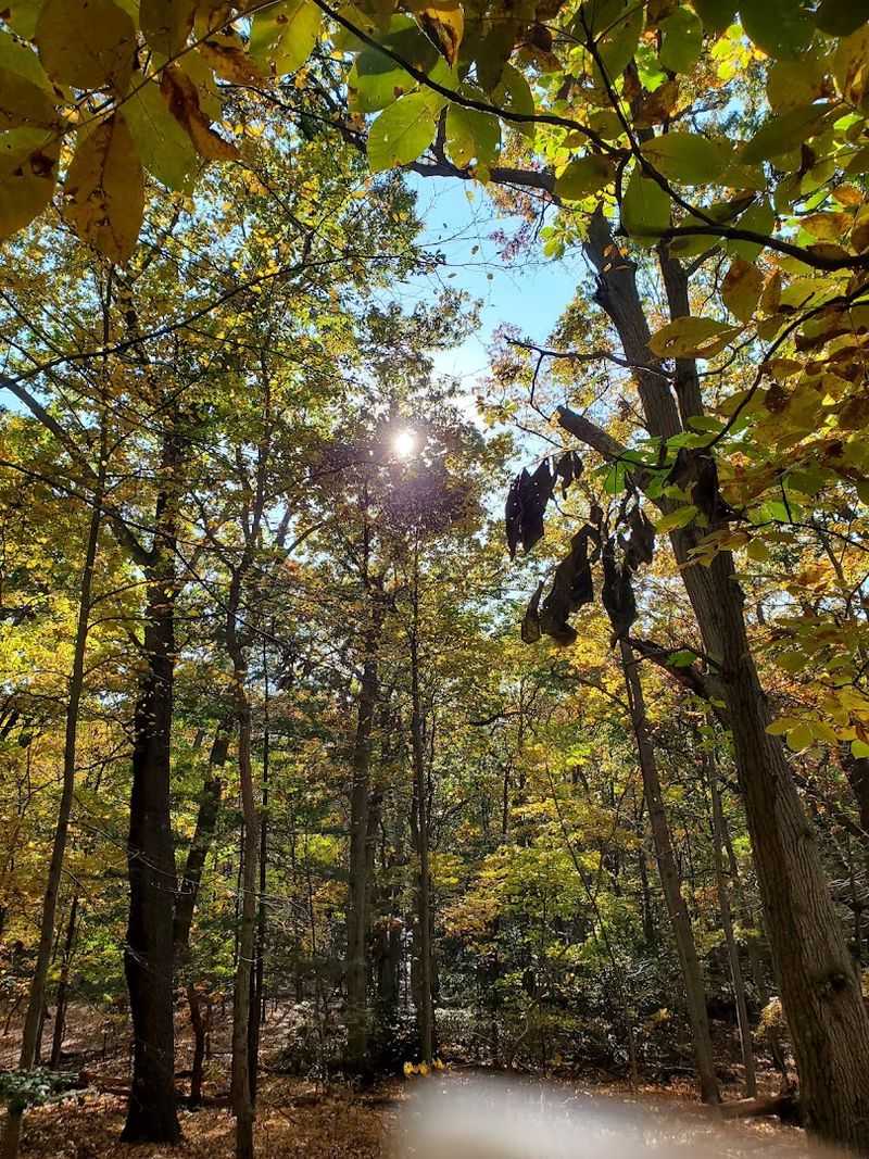 A New Jersey trail adventure that feels miles away from it all