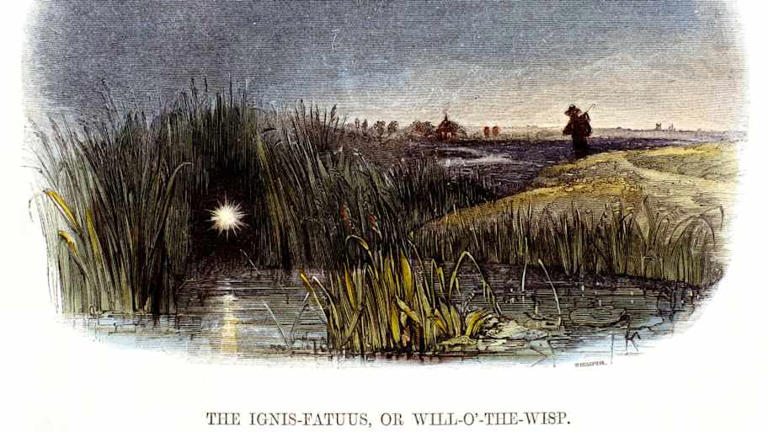 Distant lights and fairy rings: 9 superstitions about fairies