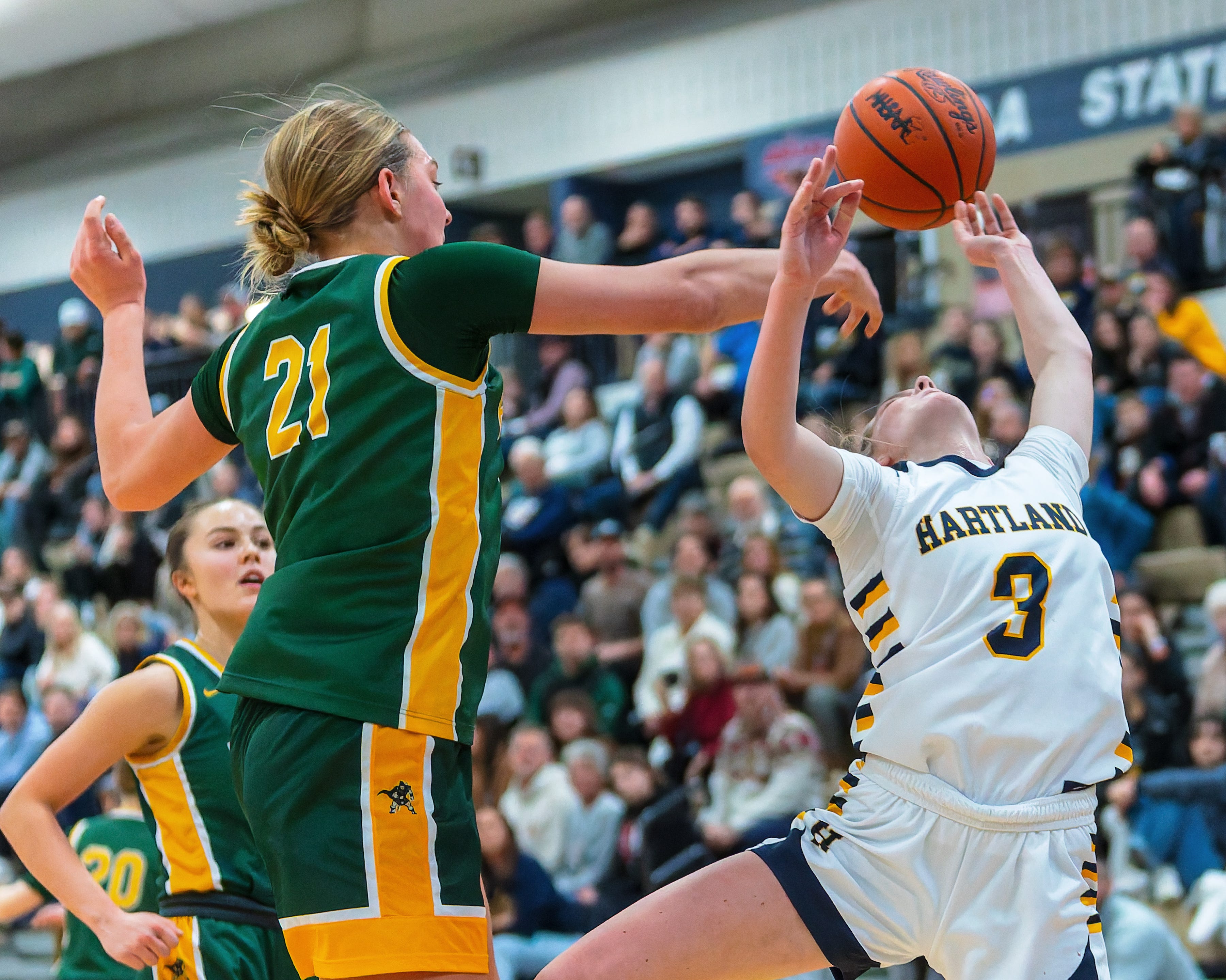 Lilly Williams, Michigan State signee, named Michigan Miss Basketball