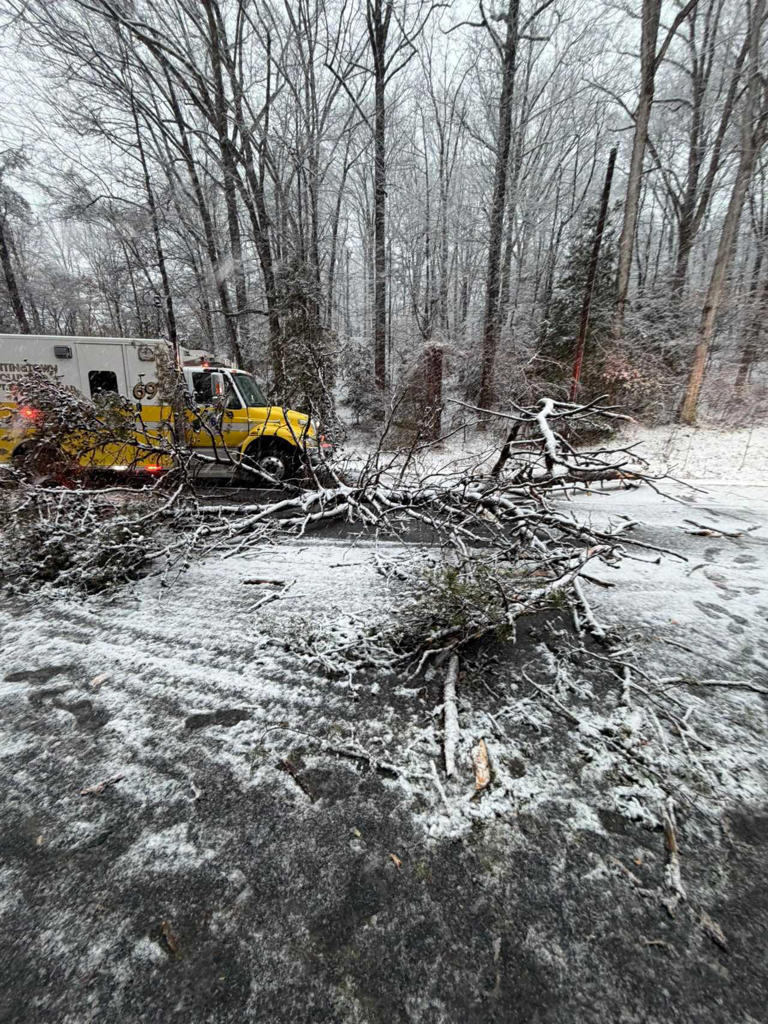 Falling tree during winter storm kills two on Maryland highway, sheriff ...
