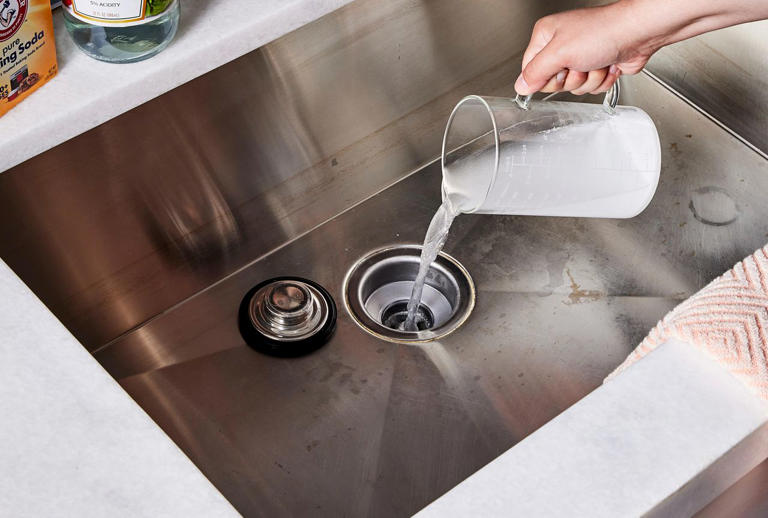 How to get rid of drain flies (for good!)