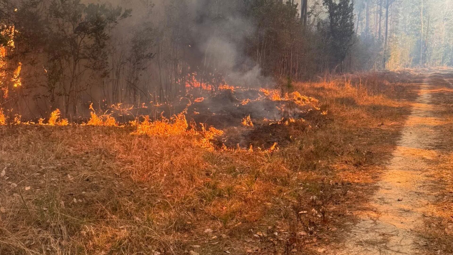 Fire crews battling large brush fire in Harrison County