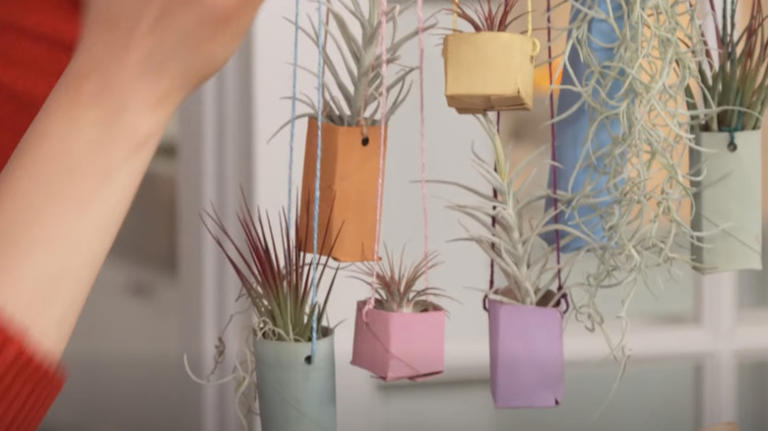 Don't toss toilet paper rolls: Turn them into mini planter holders