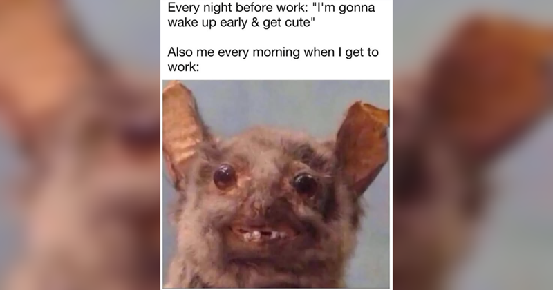 'Either you want me to attend meetings or get my actual work done': The ...