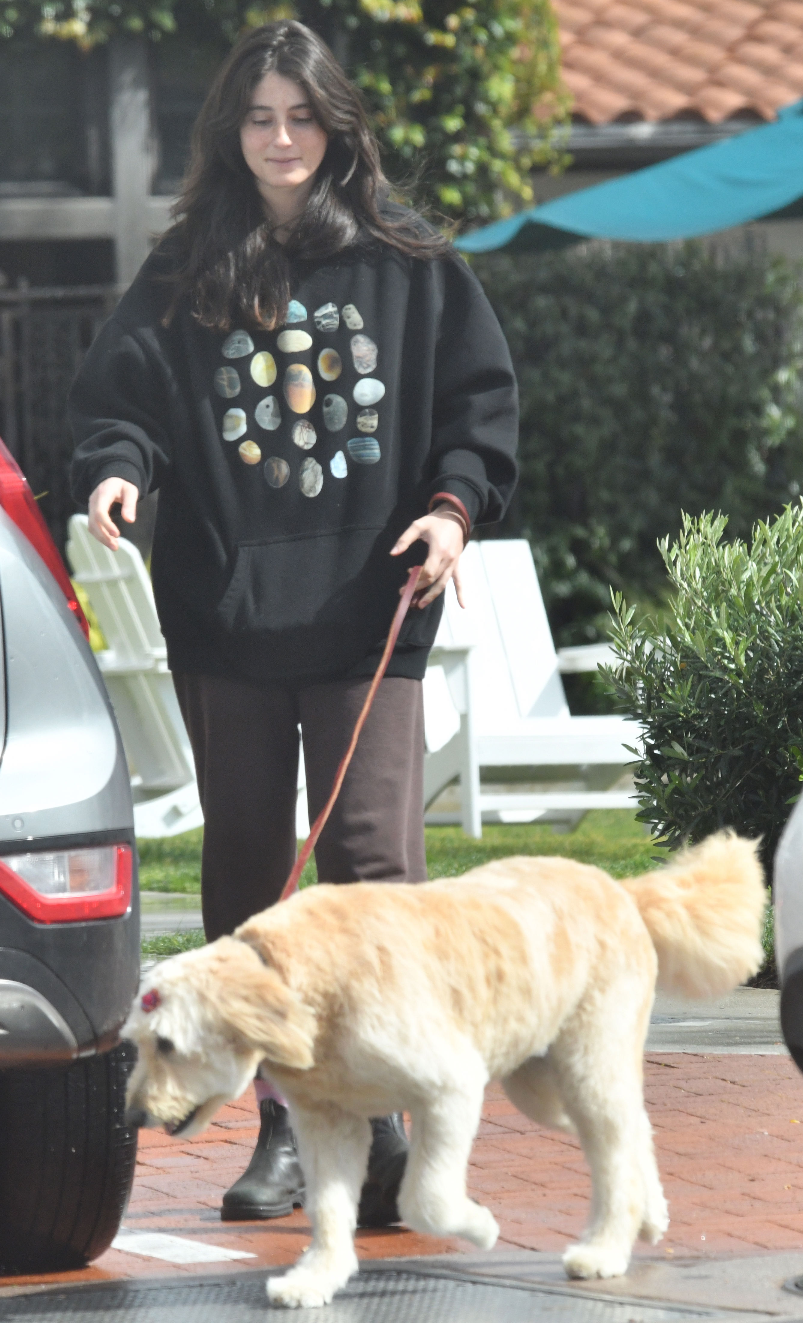 Rob Reiner’s kids try to resume normal life as brother Nick enters plea ...