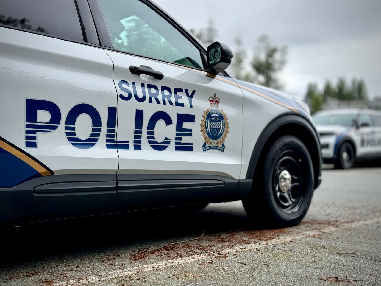 Man dies after single-vehicle crash in Surrey, BC.: police