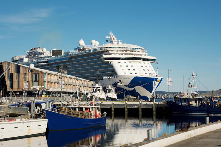 The cruise port safety risks travelers are encountering in 2026