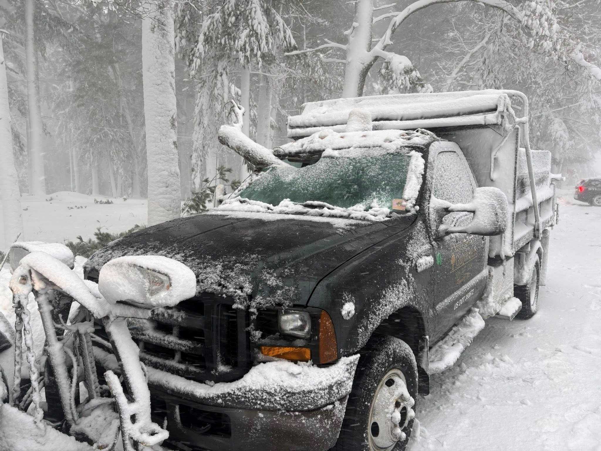 Tree branch smashes through truck windshield in Massachusetts, lands ...