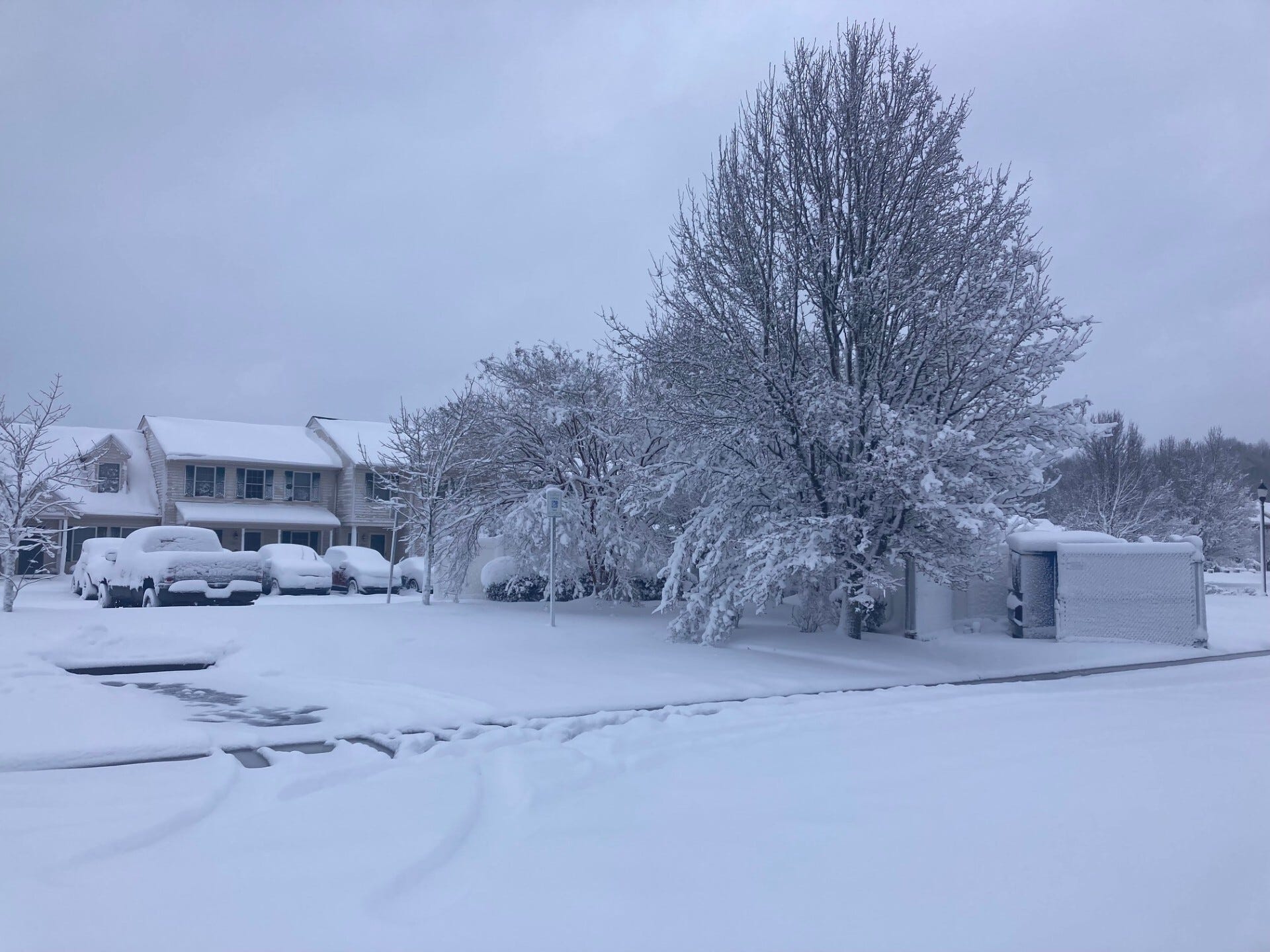 How much snow did your Salisbury home get? Search totals by address