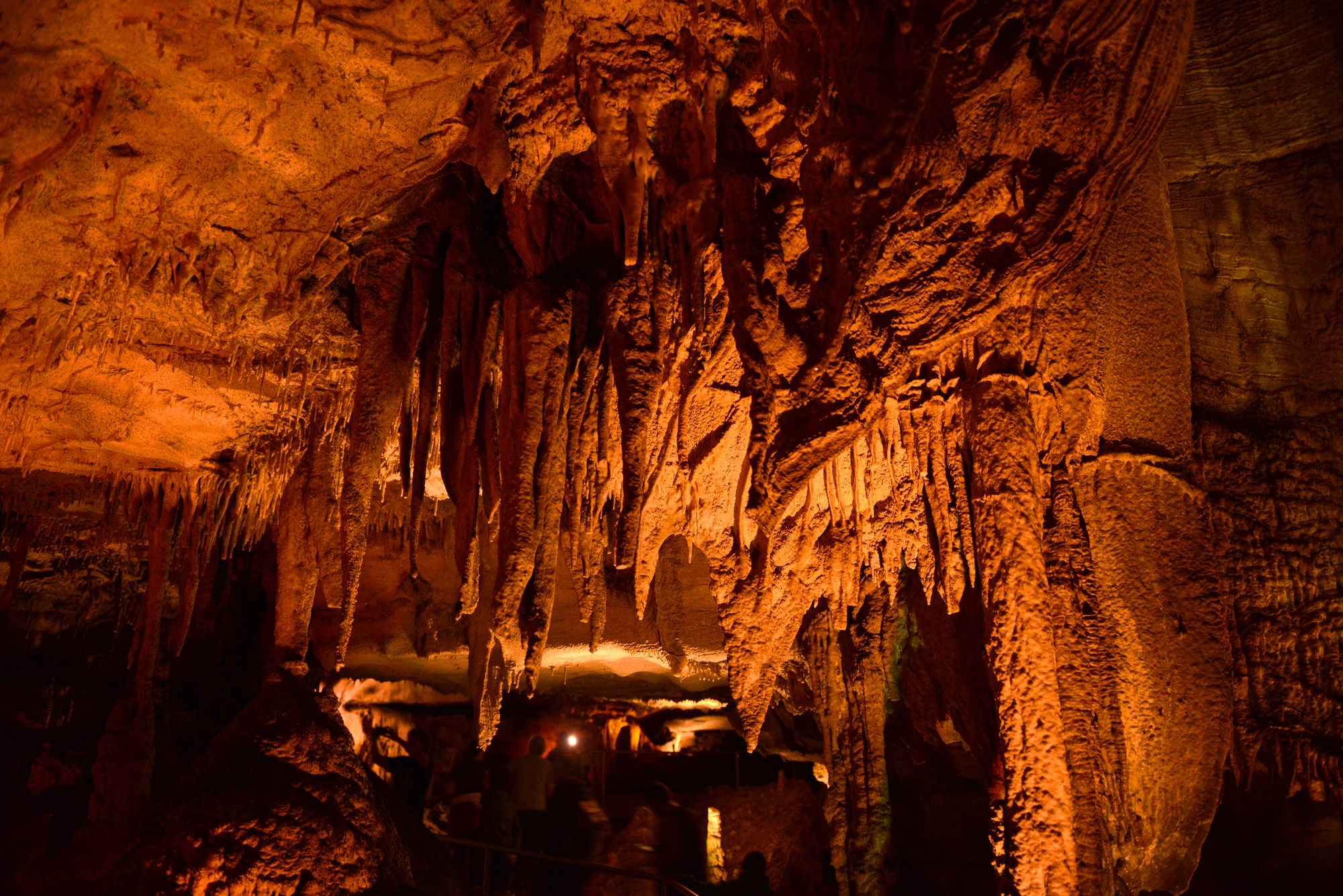 19 largest cave systems mapped in North America