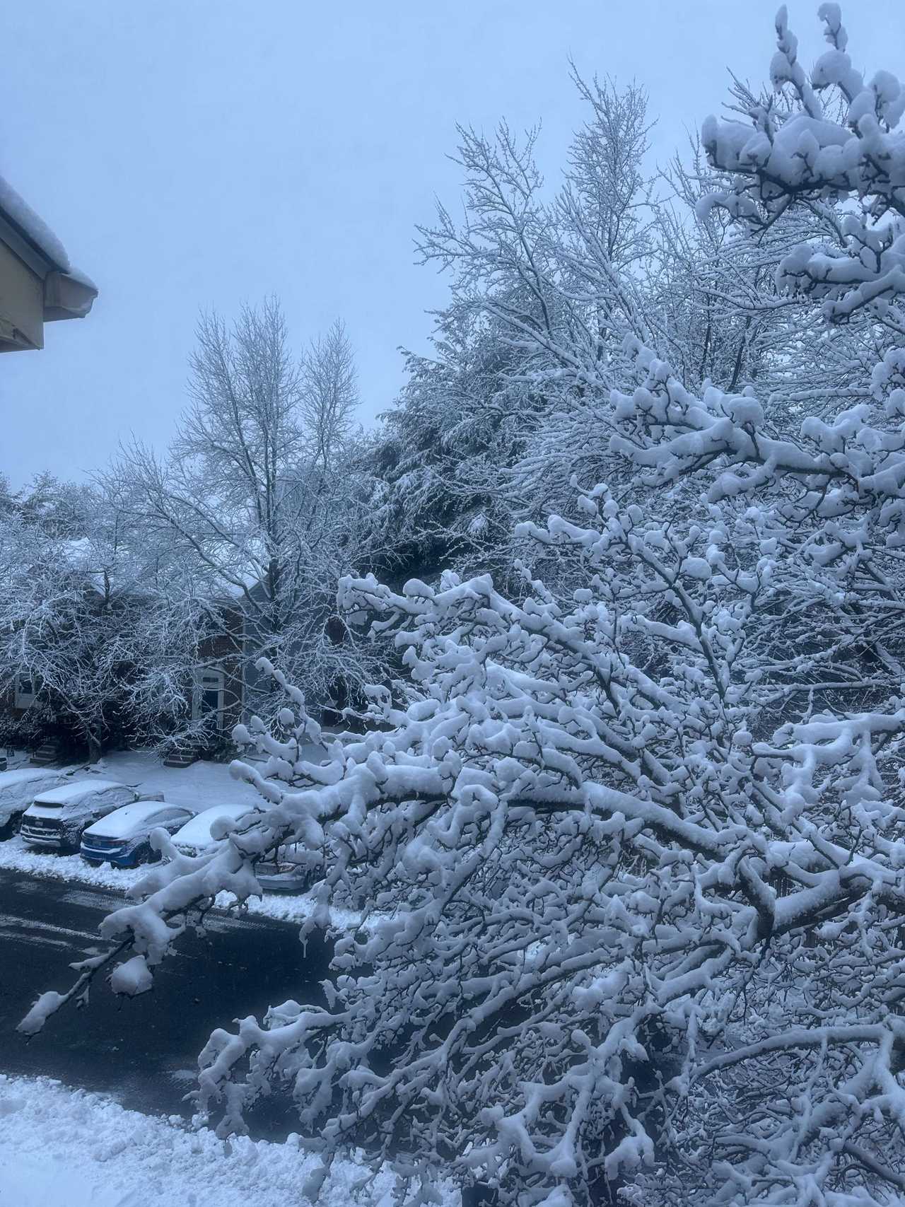 12.3 inches in Maryland, just one inch in DC: Sunday’s storm split the DMV