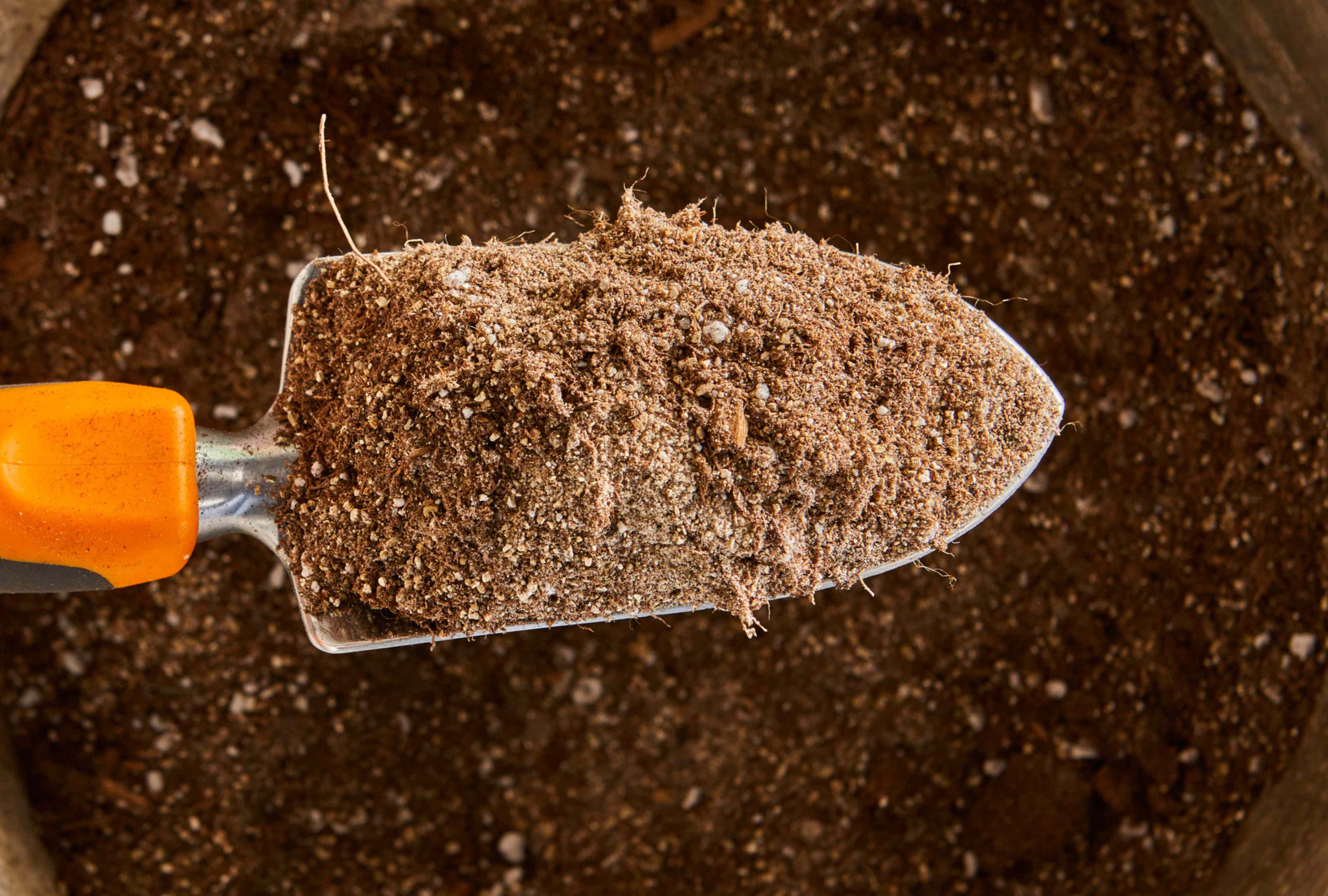 What exactly is potting soil? Plus, how to pick the right type for your ...