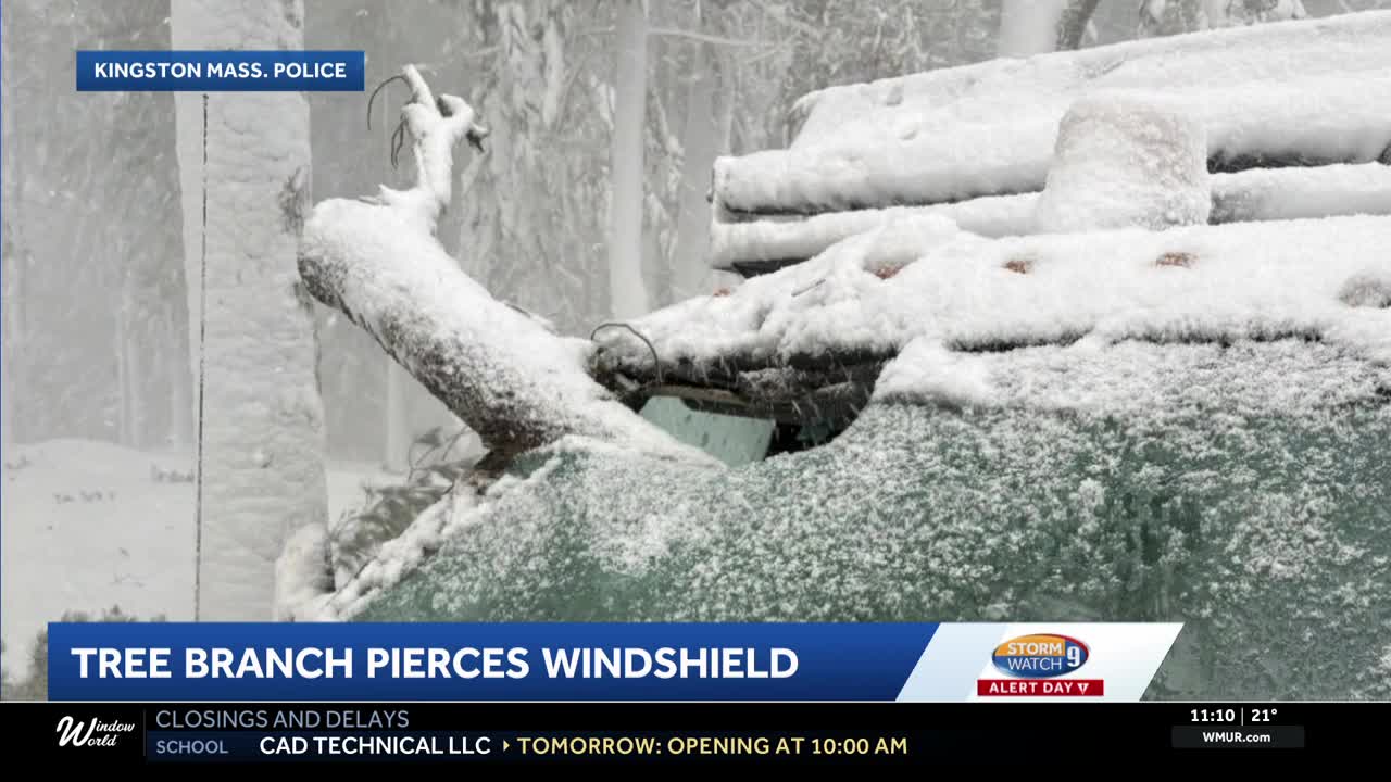 Tree branch pierces windshield of plow in Kingston, Mass.