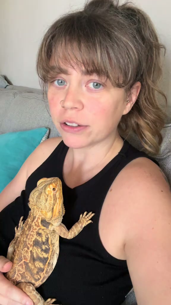 Saying goodbye to TikTok with my bearded dragon