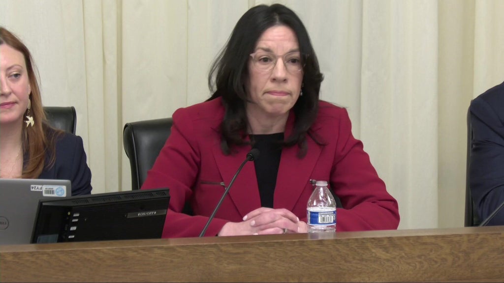 Shireen Gandhi appointed as Minnesota DHS commissioner after serving in ...