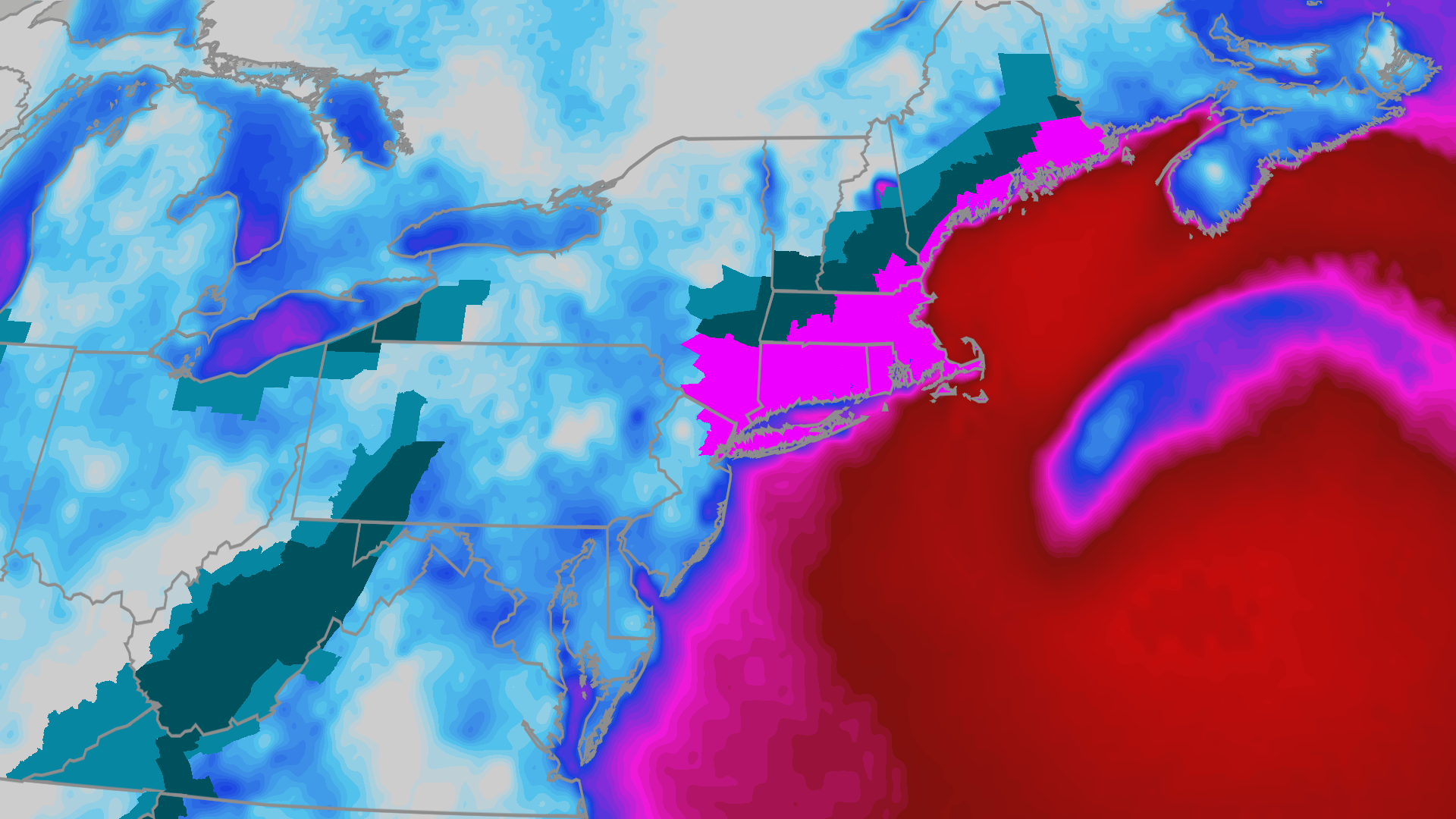 Blizzard warnings as snow, high winds hit northeast
