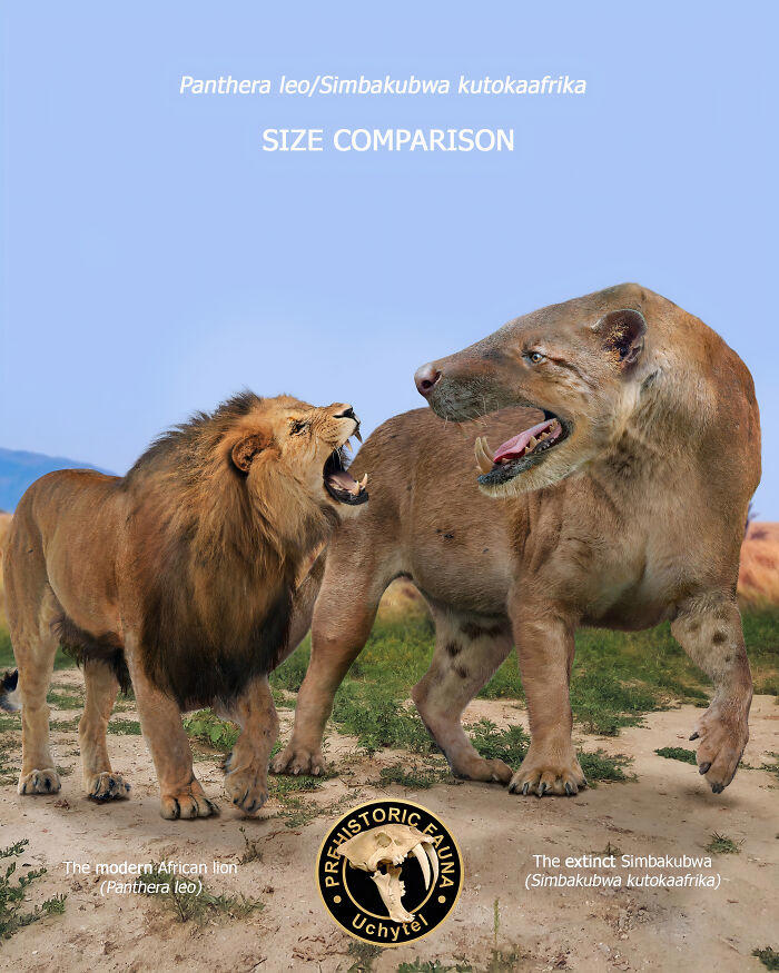 30 size comparisons of extinct species and their modern relatives by ...