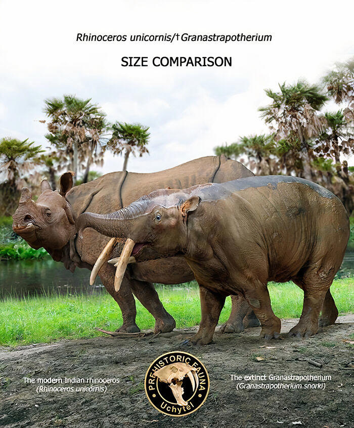 30 size comparisons of extinct species and their modern relatives by ...
