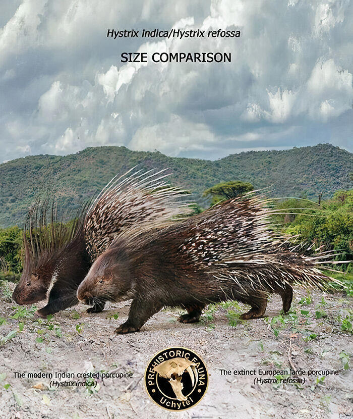 30 size comparisons of extinct species and their modern relatives by ...