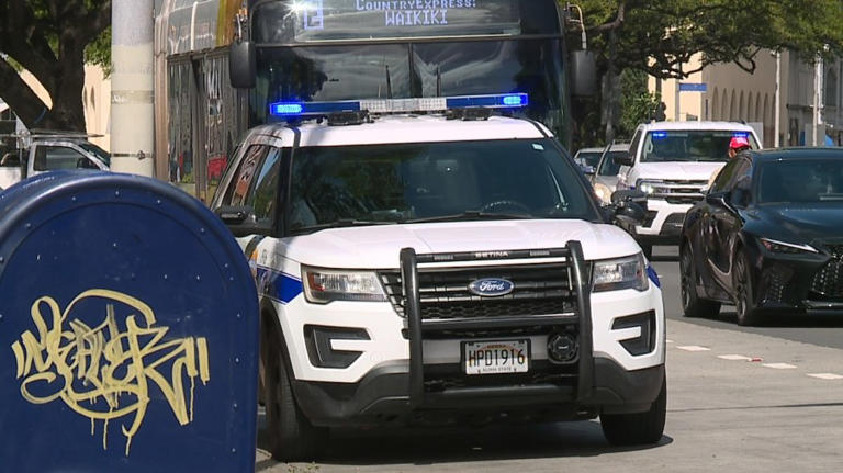 Argument escalates to Wahiawa stabbing; suspect charged