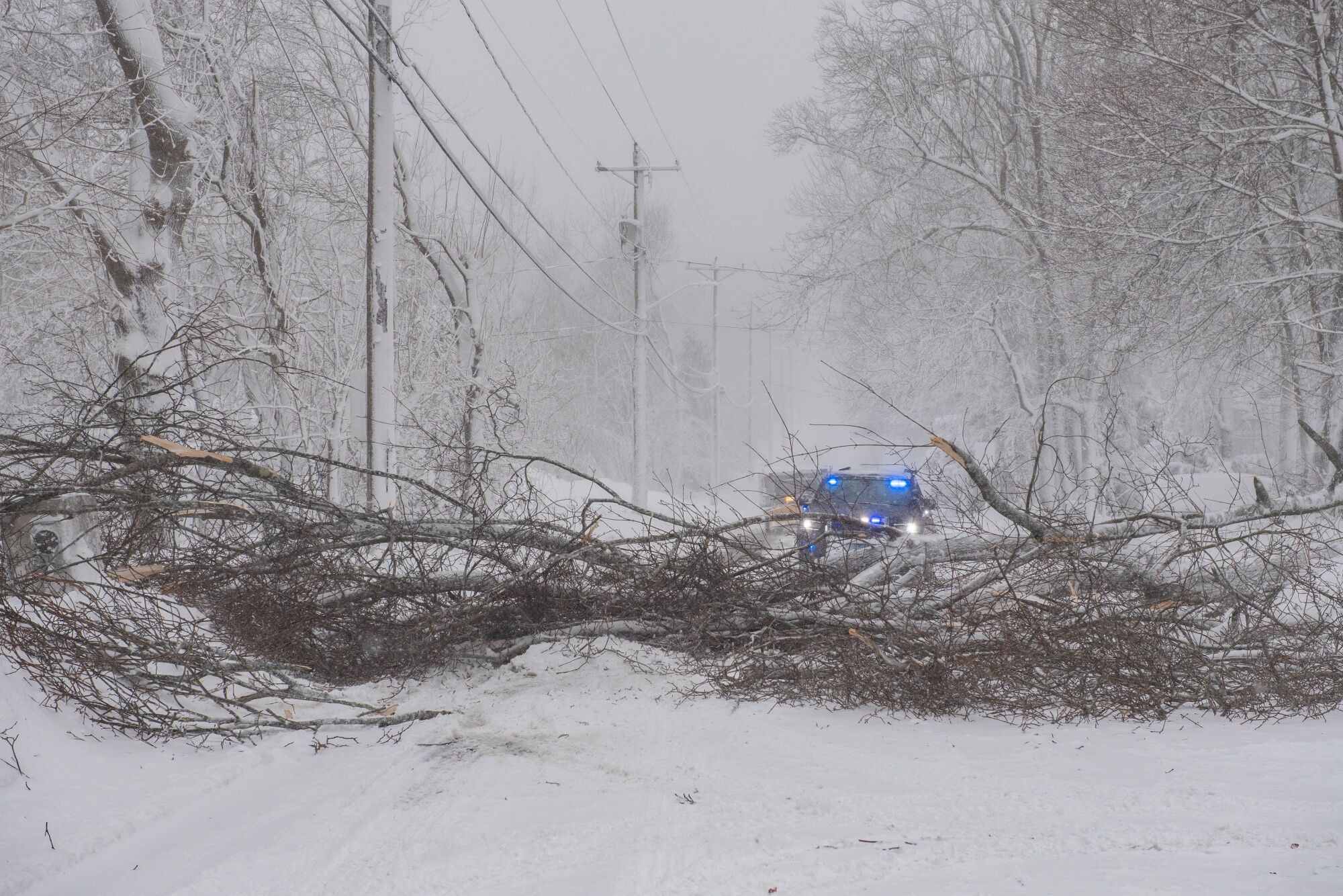 Massachusetts bans travel in counties hit hard by blizzard