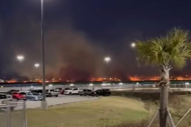 Delta flight forced to return to Georgia airport after 'engine blows ...