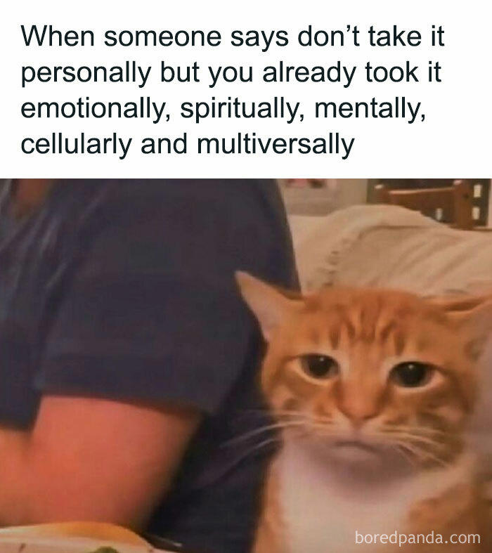 92 funny memes for people who are mentally tired