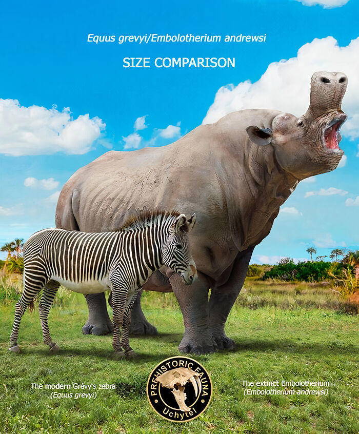 30 size comparisons of extinct species and their modern relatives by ...