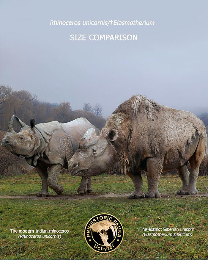 30 size comparisons of extinct species and their modern relatives by ...