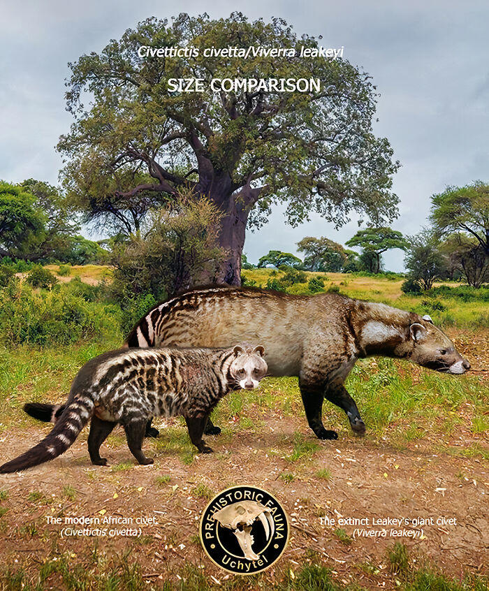 30 size comparisons of extinct species and their modern relatives by ...