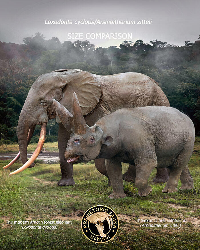 30 size comparisons of extinct species and their modern relatives by ...