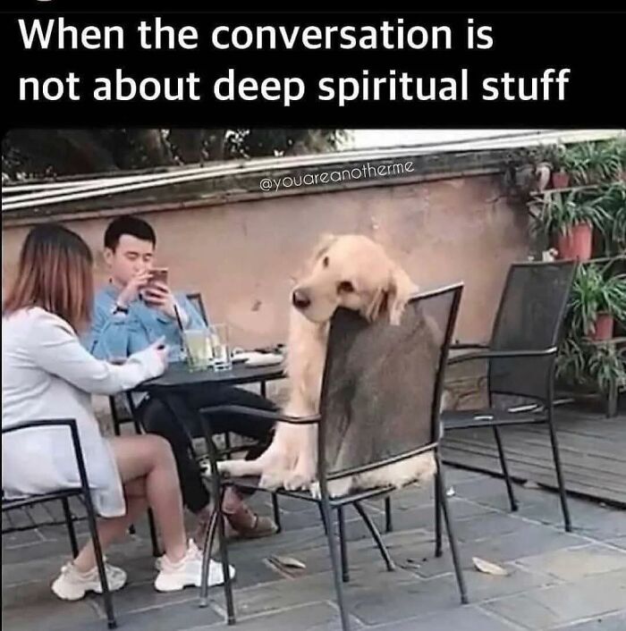 92 funny memes for people who are mentally tired