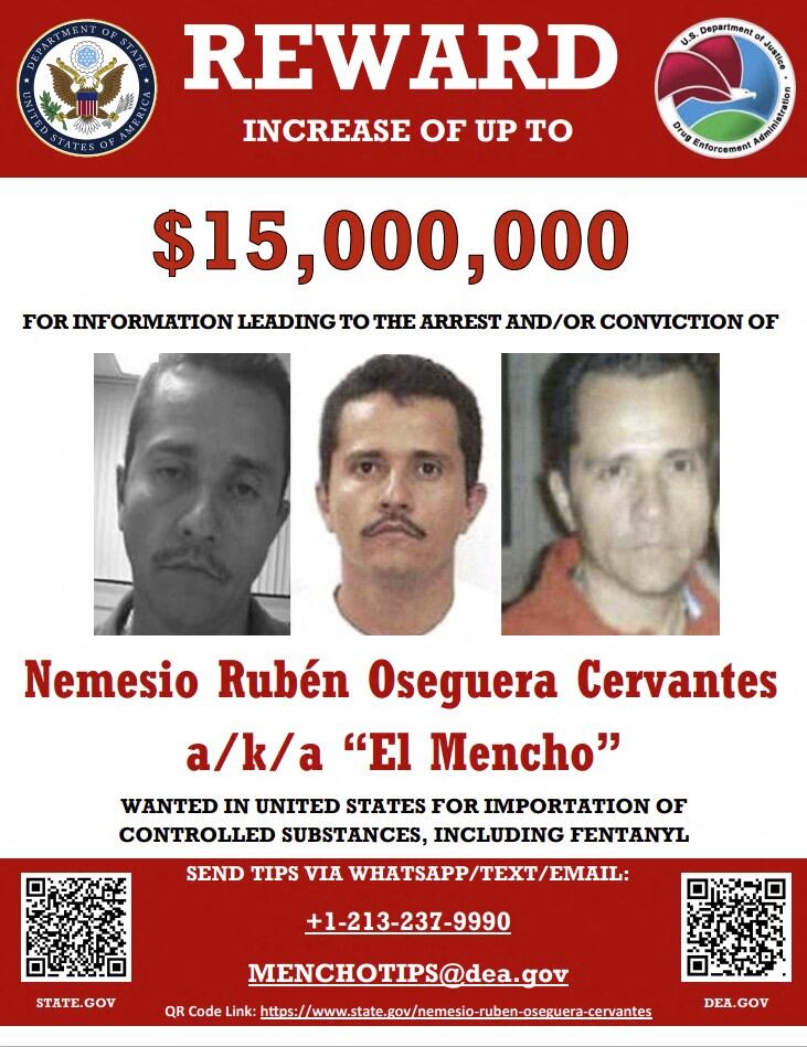 Mexican drug cartel leader killed in raid on secluded 'love hideout'