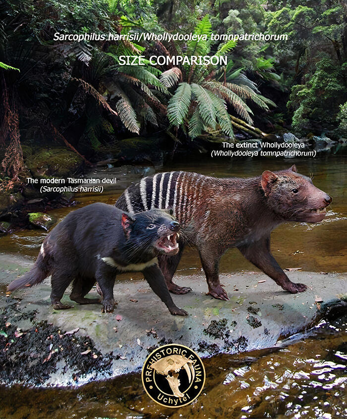 30 size comparisons of extinct species and their modern relatives by ...