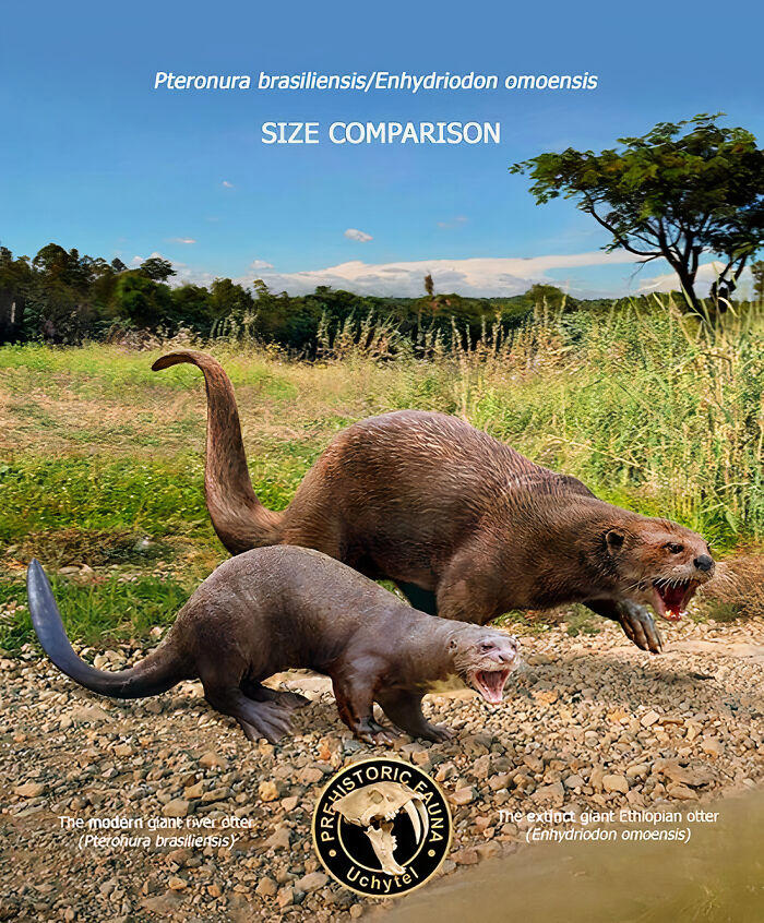 30 size comparisons of extinct species and their modern relatives by ...